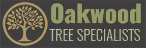 Home - Oakwood Tree Services